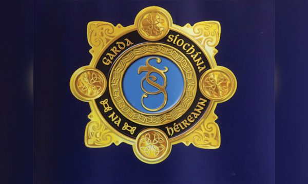 Garda Internal Audit by the Numbers - The Phoenix Magazine